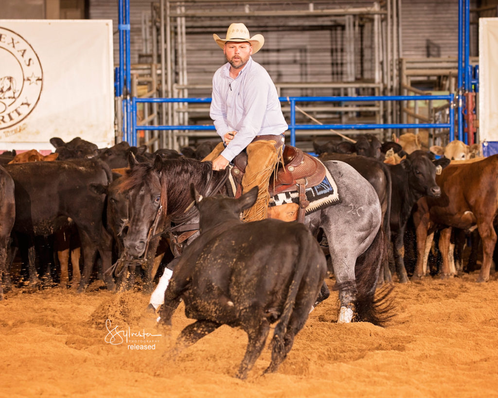 HASHTAGS – Metallic Cat