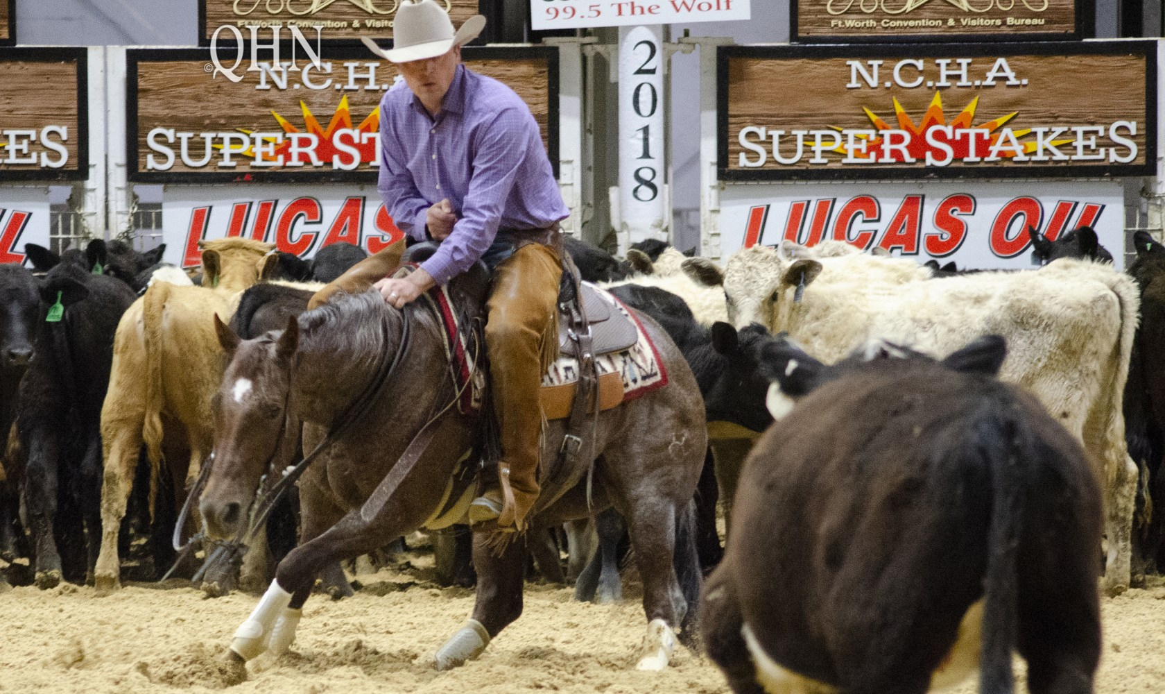 blogpage – Metallic Cat